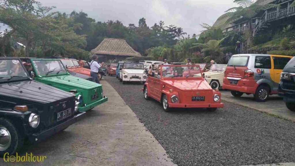 Bali VW Safari Tour - Menikmati suasana alam Bali dengan leluasa